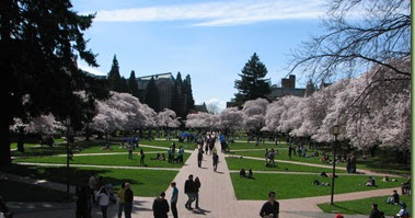 Northwest Ladybug: A beautiful day on the University of Washington campus